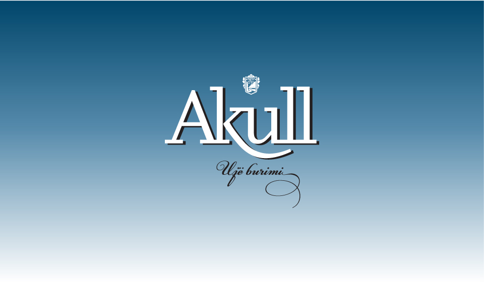 Partnerët dhe Mbështetësit