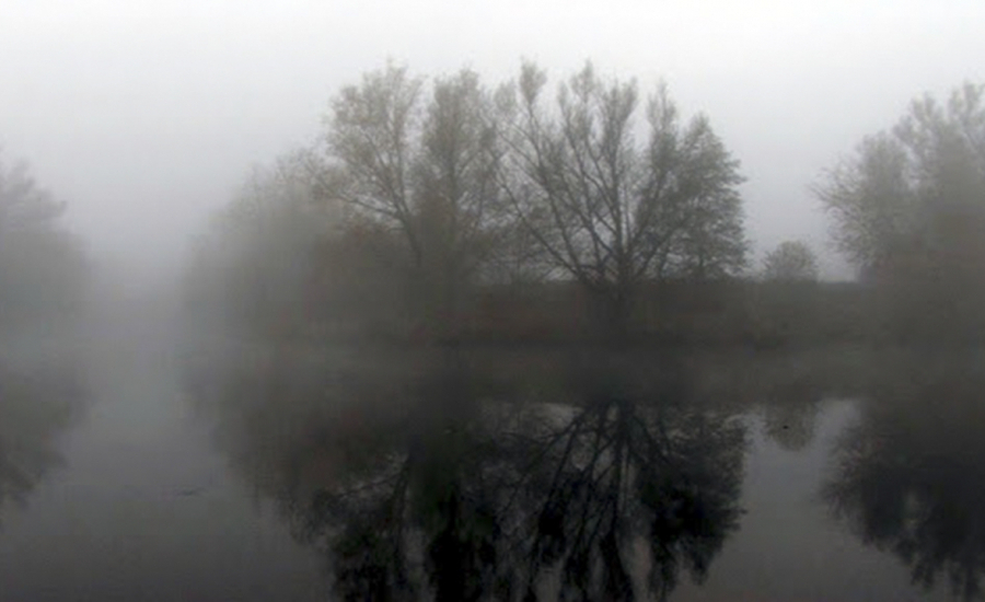 SHADOWPLAY: FILM ON FILM